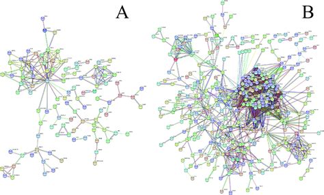 String Analysis For Proteins Coded By Genes Found A Enriched In The