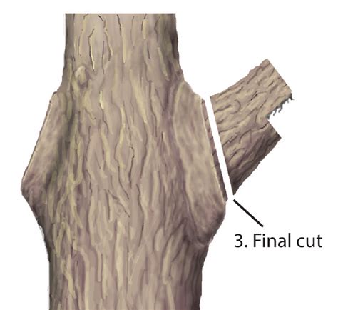 Plant A Tree An Alaska Guide To Tree Care Cooperative Extension Service