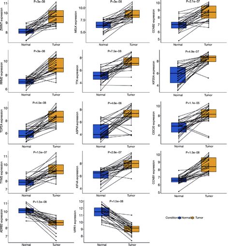 The Gene Expression Analysis Of 12 Gene And 2 Gene Signatures In Download Scientific Diagram