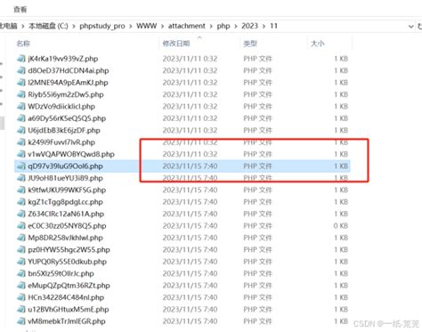 【where 1s The Hacker P2应急响应靶场】 Csdn博客
