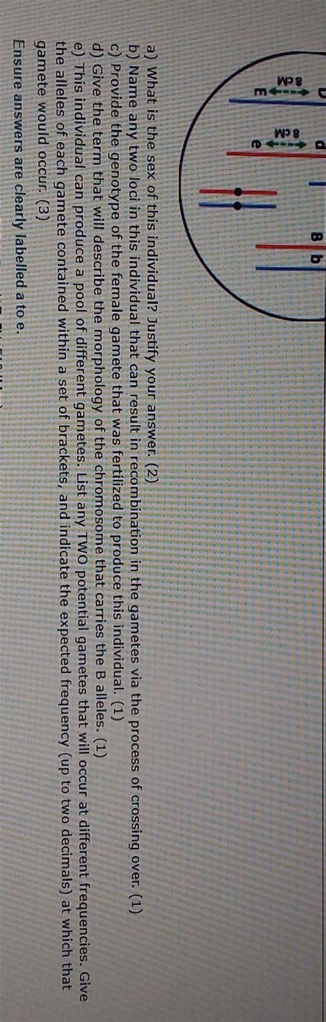 solved question 1 8 points save answer the picture below