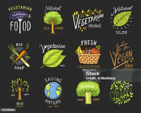 건강 한 유기농 식품 로고 세트 또는 레이블 및 채식과 농장 자연 채소 제품 벡터 일러스트 레이 션에 대 한 요소 배지 건강 한 생활입니다 오래 된 스케치에 새겨진된 핸드