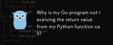 為什麼我的 go 程式沒有收到 python 函數呼叫的回傳值？ golang php中文網