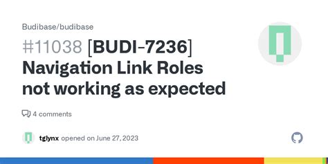 Navigation Link Roles Not Working As Expected · Issue 11038 · Budibase