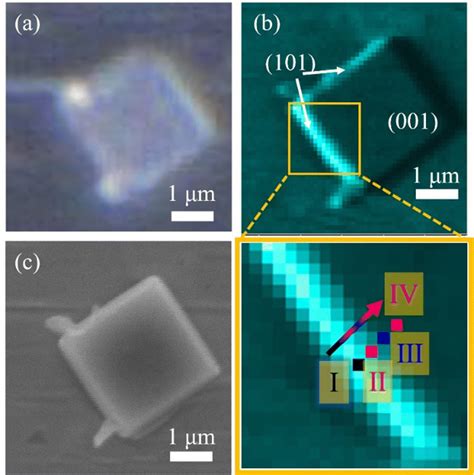 Facet Dependent Photocatalytic Performance And Electronic Structure Of Single Crystalline