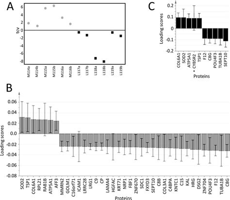 supervised orthogonal partial least squares discrimination analysis