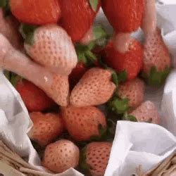 Aesthetics And Moodboards Do You Think You Could Do A Strawberry