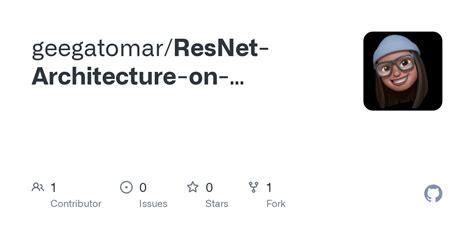 GitHub Geegatomar ResNet Architecture On TinyImageNet Dataset