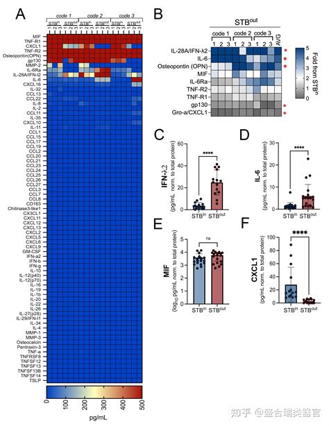 研究胎盘发育新工具：滋养层类器官 知乎