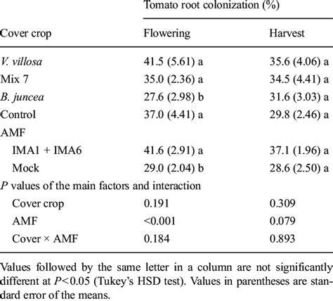 Tomato Root Colonization At Flowering And Harvest As Influenced By