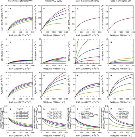 Key Model Predictions Related To The Structure Of The Electron