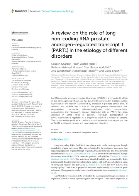 Pdf A Review On The Role Of Long Non Coding Rna Prostate Androgen