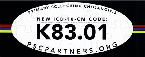 Psc Disease Code K83 01 Psc Partners Seeking A Cure