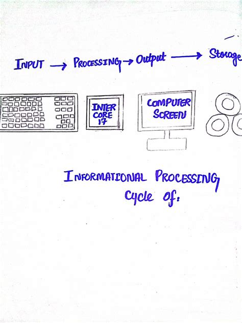 Computer Practicals Pdf