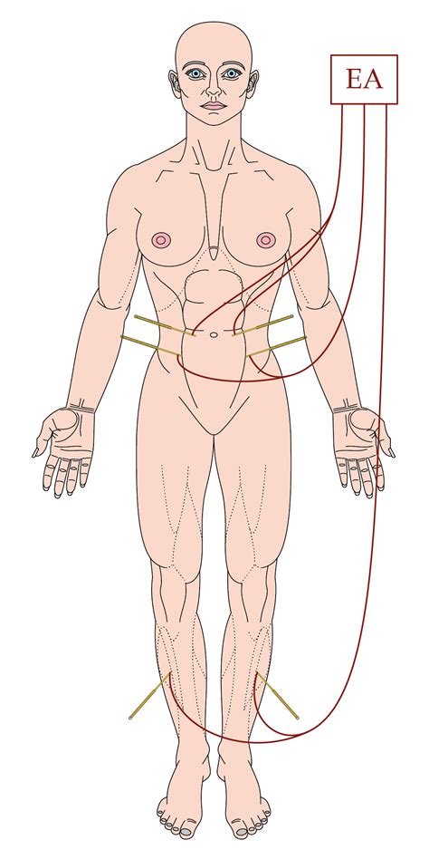 Constipation The Bmas Blog