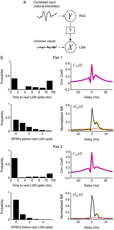 Incremental Mutual Information Analysis Of Retinogeniculate Pairs A A