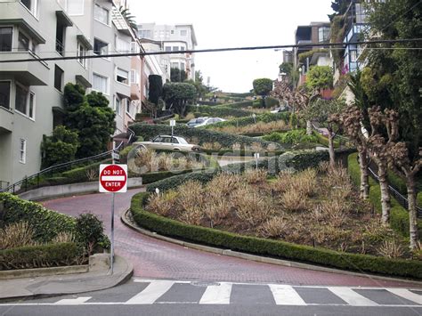 관광지 길 언덕길 샌프란시스코 미국 사진이미지일러스트캘리그라피 Jjickmuk작가
