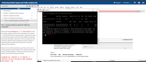 performing packet capture and traffic analysis 4e