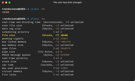 How To Fix File Size Limit Exceeded TREND OCEANS