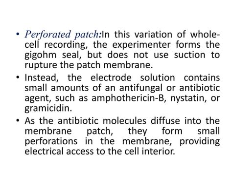 Patch Clamp Technique Pptx