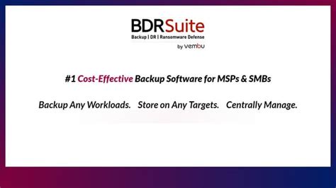 Bdrsuite 1 Cost Effective Data Backup And Recovery Solution Pdf Cloud Computing Internet