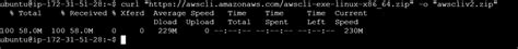 How To Install AWS CLI On Ubuntu LTS