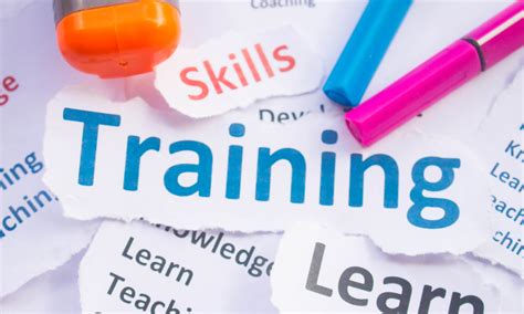 What Type Of Public Sector Tender Training Is Right For Your Business
