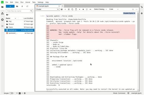 Managing Packages Manually Bodo Developer Documentation