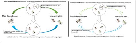 Diagrams Depicting How Our Study S Findings Support The Existence Of A
