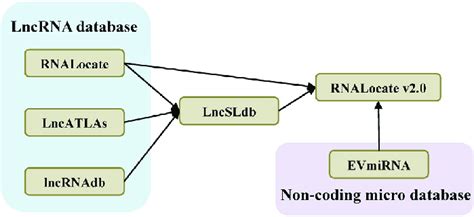 Cross Referencing Of Databases Download Scientific Diagram