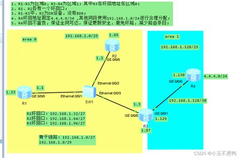 第六章：ospf协议基础特性 ospf宣告地址原则 csdn博客