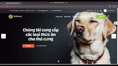Website Quản Lý Và Thương Mại Cho Thú Cưng Đồ án Khóa Học Java Web