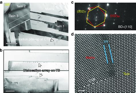 Tem Of Twin Structures In The Crconi Alloy A Bright Field Tem Download Scientific Diagram