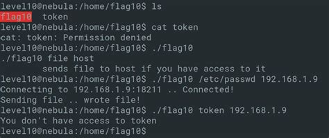 Exploit Education Nebula Walkthrough 💻 Blog