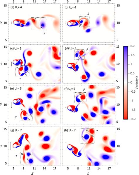Vorticity Contours In The Viv Regime For A And B U R ¼ 4 C And Download Scientific