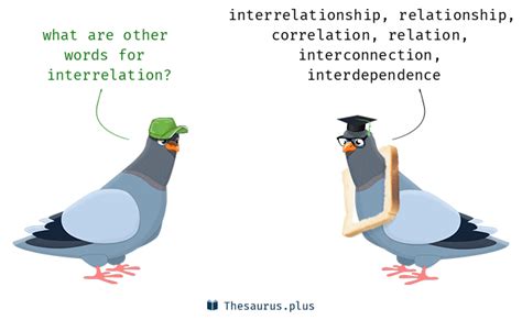 Interrelation Synonyms And Interrelation Antonyms Similar And Opposite