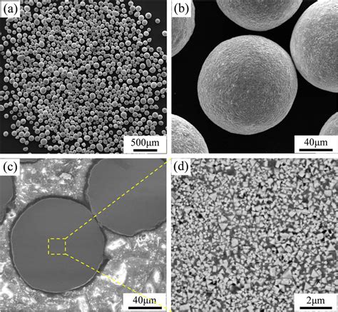 Morphology And Cross Sectional Microstructure Of The Wc 12co Composite