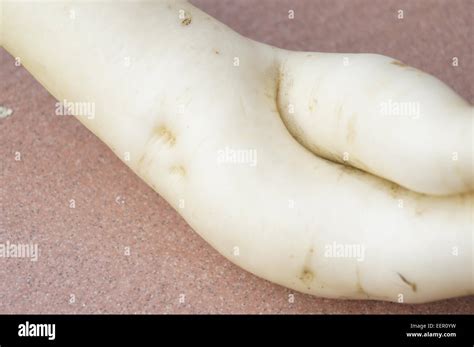 White Radish With Twisted Roots Looking Like Human Torso With Legs Stock Photo Alamy