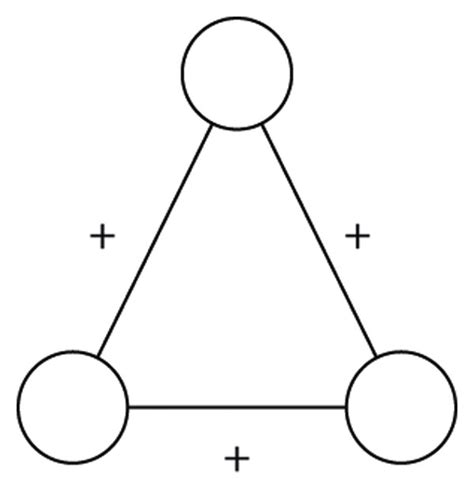 All Balanced Triangles In Fully Signed Networks The Solid Lines Denote