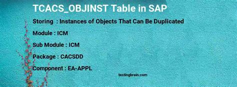 TCACS OBJINST SAP Table For Instances Of Objects That Can Be Duplicated