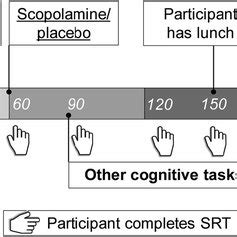Timeline Of The Procedure In Each Test Session Connector Lines Download Scientific Diagram