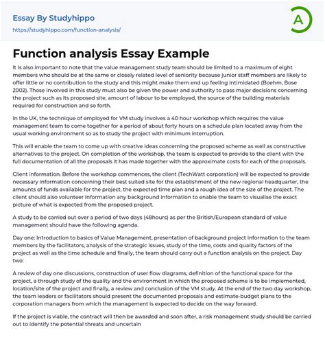 Function Analysis Essay Example