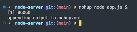 Linux 리눅스에서 노드를 중단없이 사용하기 nohup
