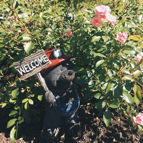 Пикник на английском языке Молодёжные единые ведомости МЕДВЕД