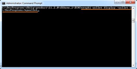 Creating And Managing Oracle Wallet O Planning Org