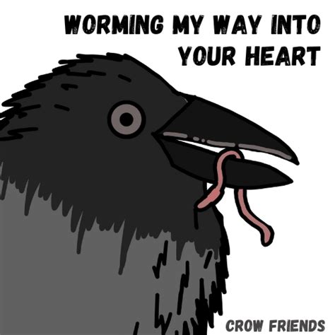 Crow Friends Memes Shelves 🔲