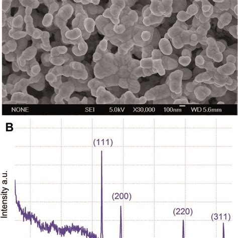 Sers Spectra Of Otcs On Porous Ag Fiber A The Solution Of 100 μmol