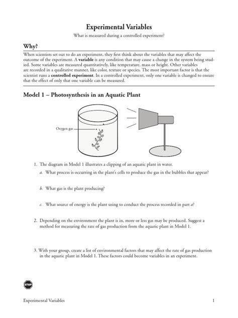 Sarah Abraham 3 Experimental Variables S Pdf Experiment Gases