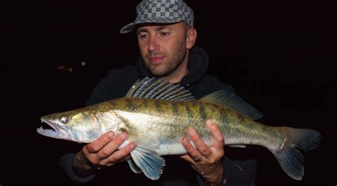 Sulec In ščuka Zaprta Kaj Lahko Lovimo V Sožitju Z Naravo