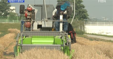 전북 소화 잘 되고 알레르기 없는 밀 품종 개발